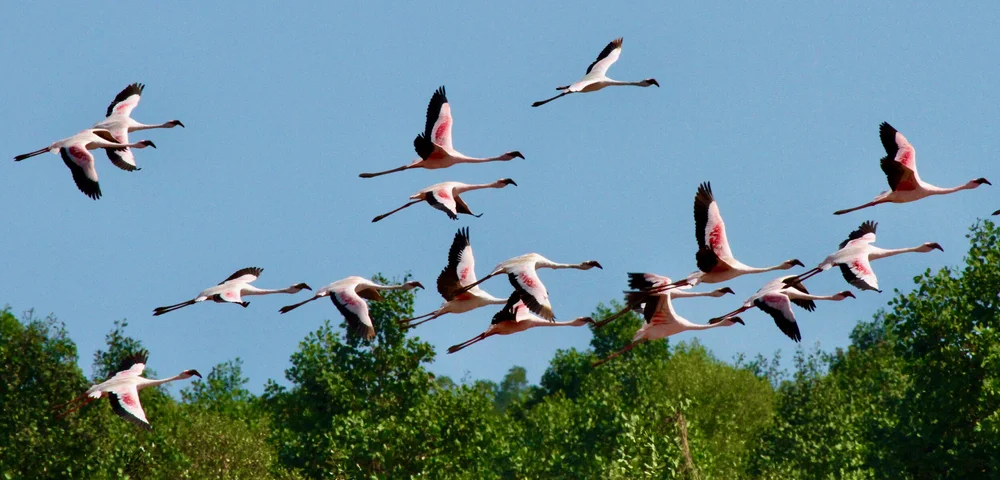 Our Approach — Growald Climate Fund