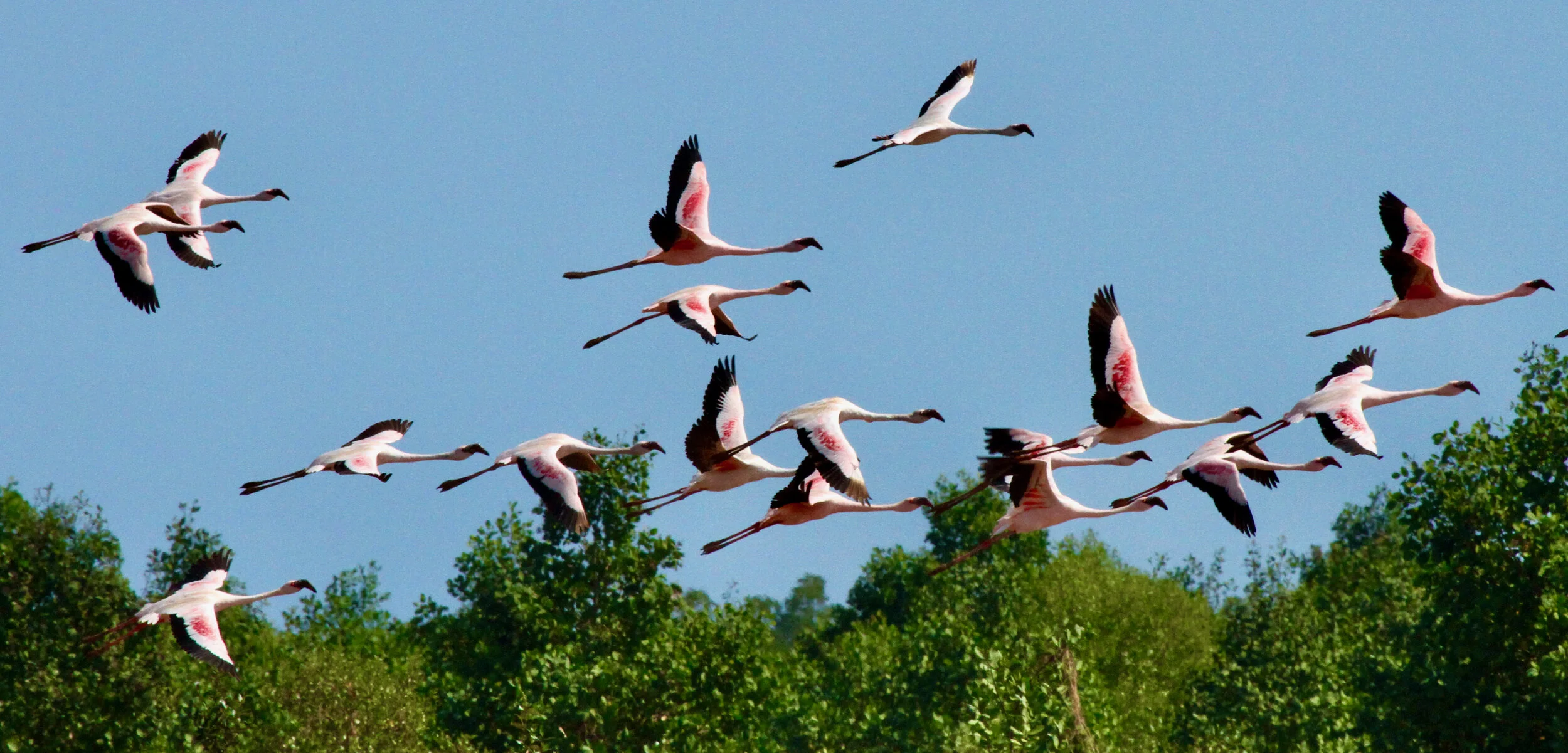 Our Approach — Growald Climate Fund