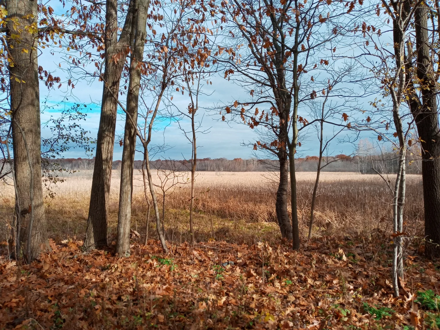 Contact Us — Growald Climate Fund