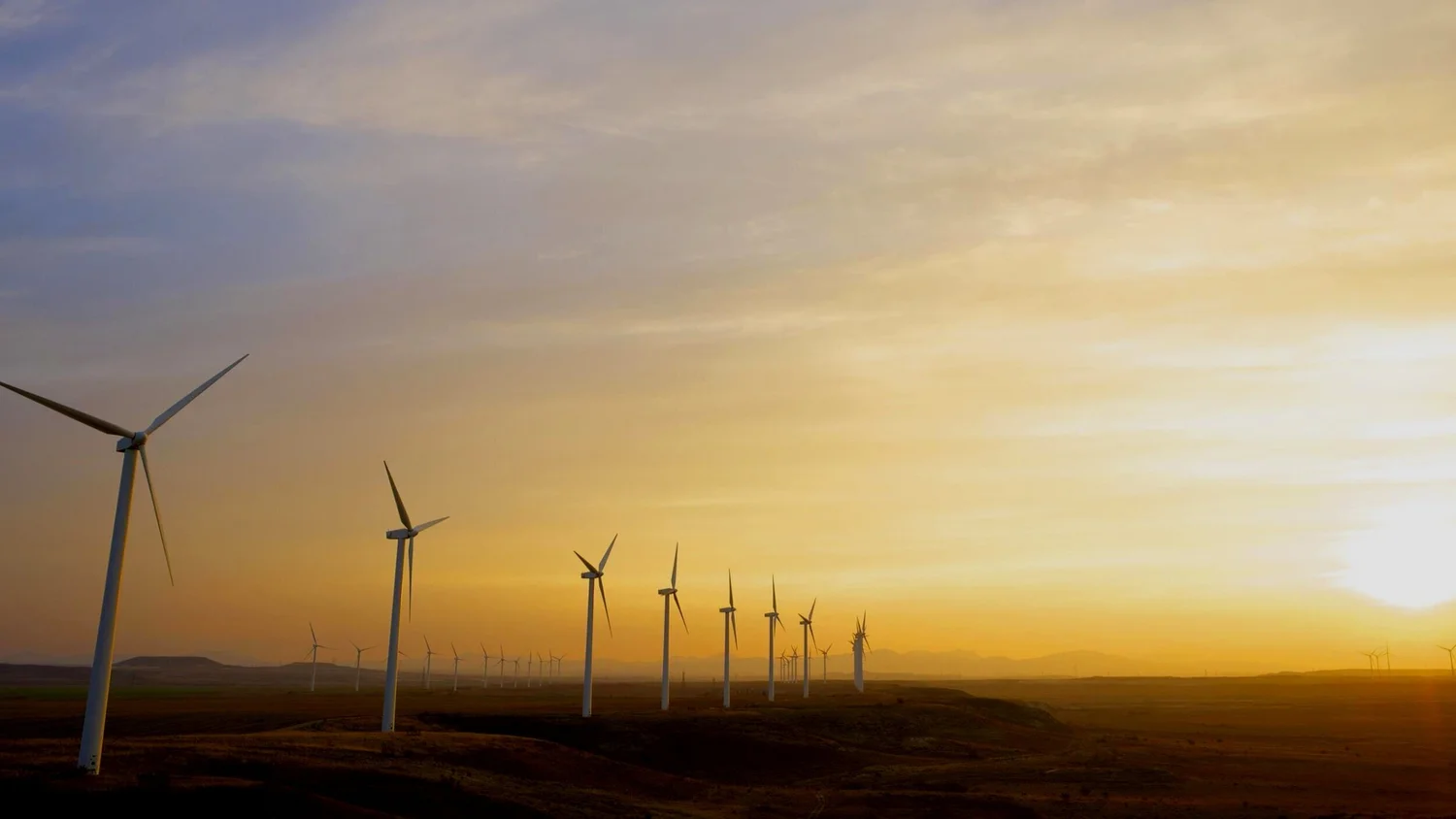 Growald Climate Fund