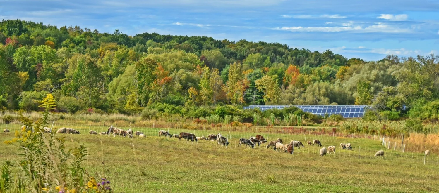 Why Electricity? — Growald Climate Fund