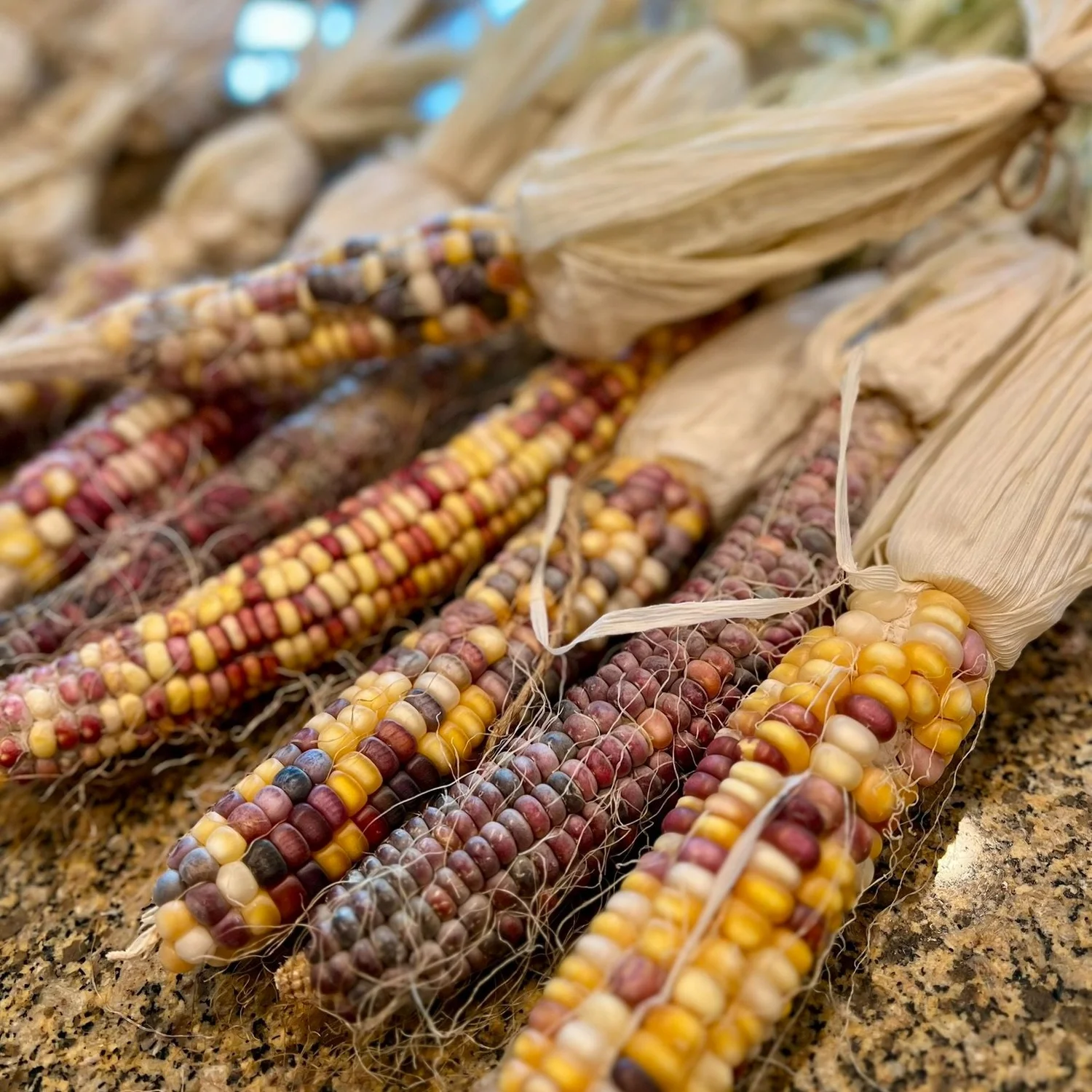 Heirloom Gardening with the Three Sisters and Seed Bank — Cherokees of ...