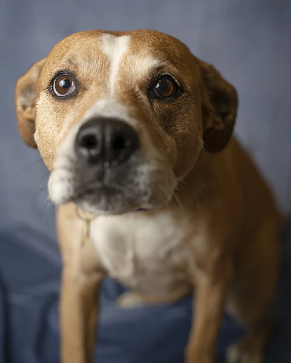 Employment — Galloway Law Group PLLC