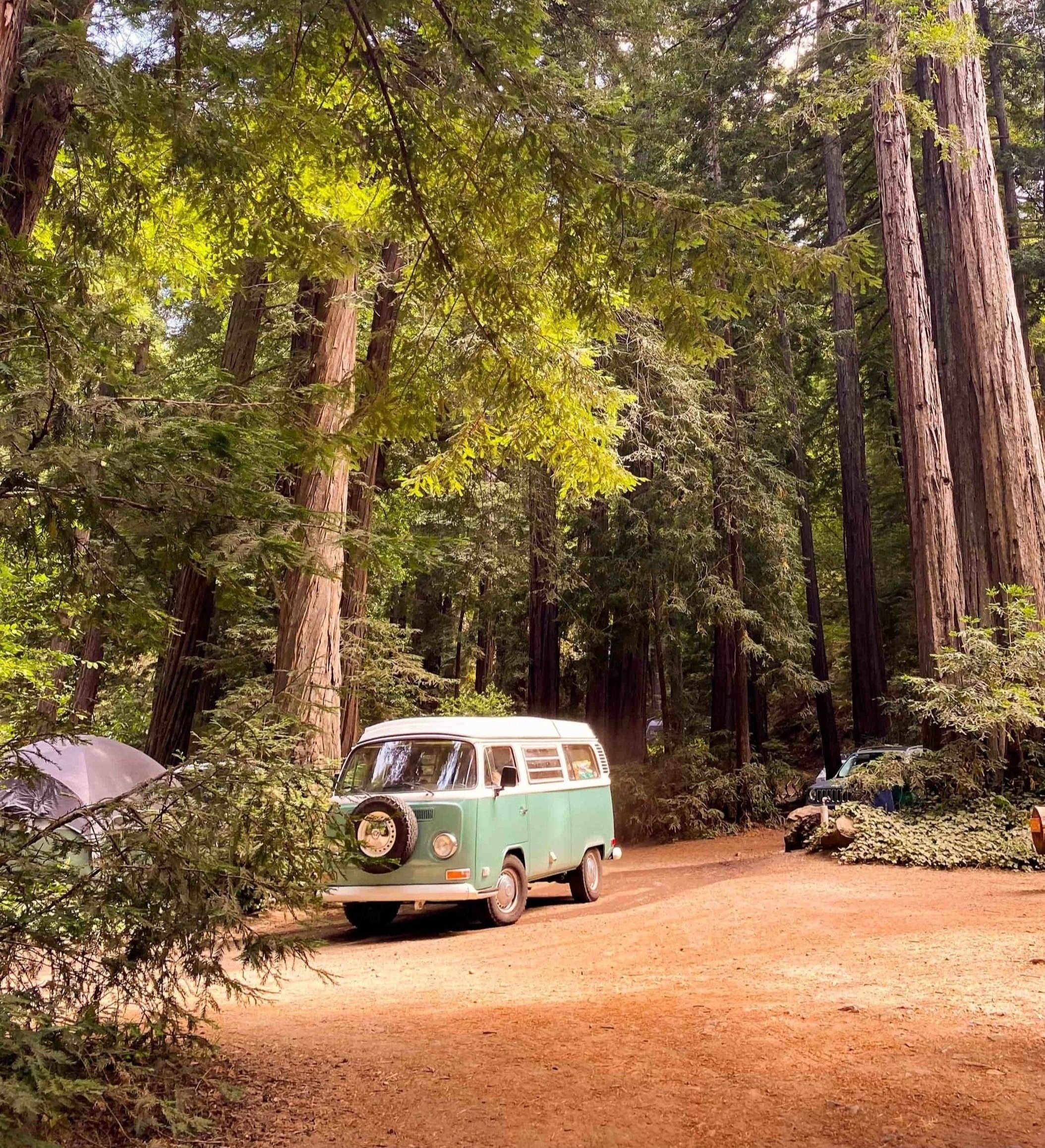 Big Sur Campground & Cabins - Camping in Big Sur, CA