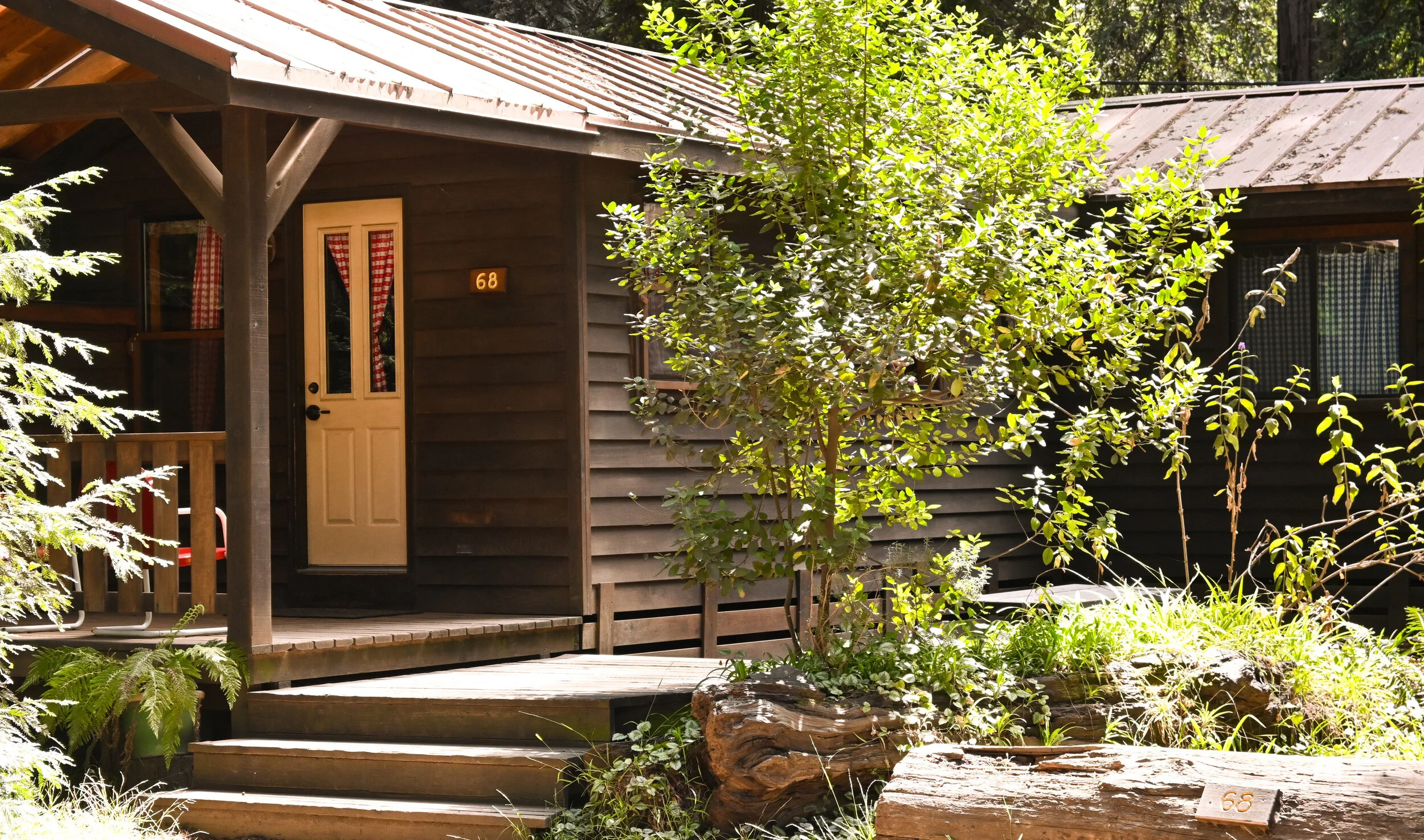 Cabin Rentals in Big Sur — Big Sur Campground & Cabins