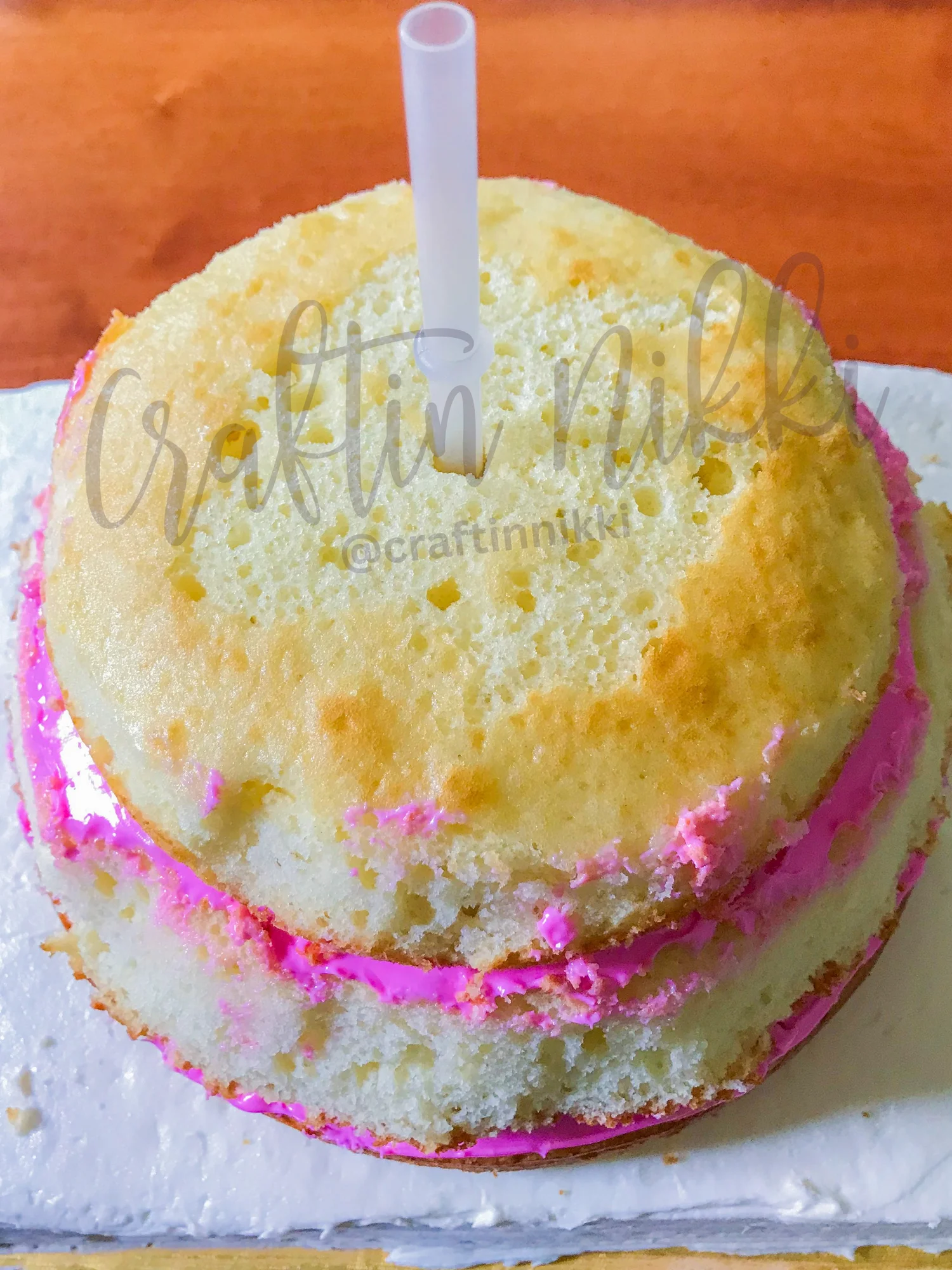 DIY Barbie Doll Cake Tutorial by Craftin Nikki