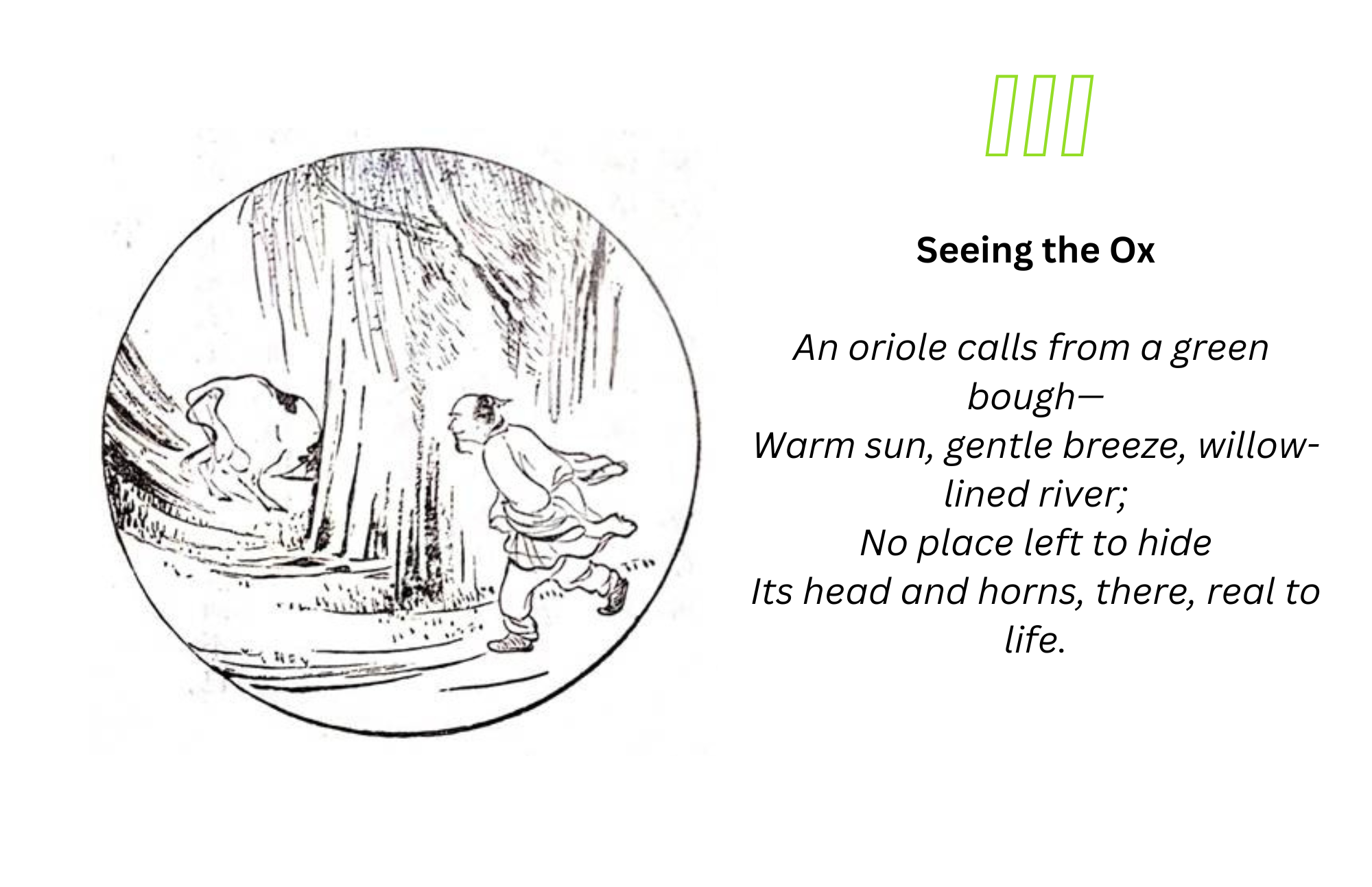 Ten Oxherding Pictures | Discover Zen Insights — Embark on Your Path ...