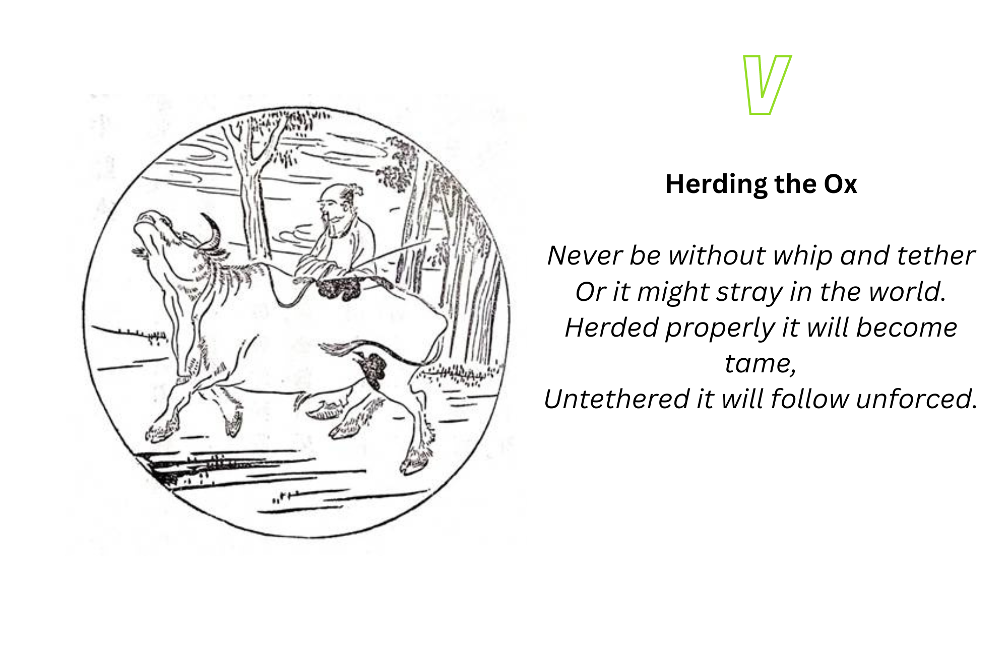 Ten Oxherding Pictures | Discover Zen Insights — Embark on Your Path ...