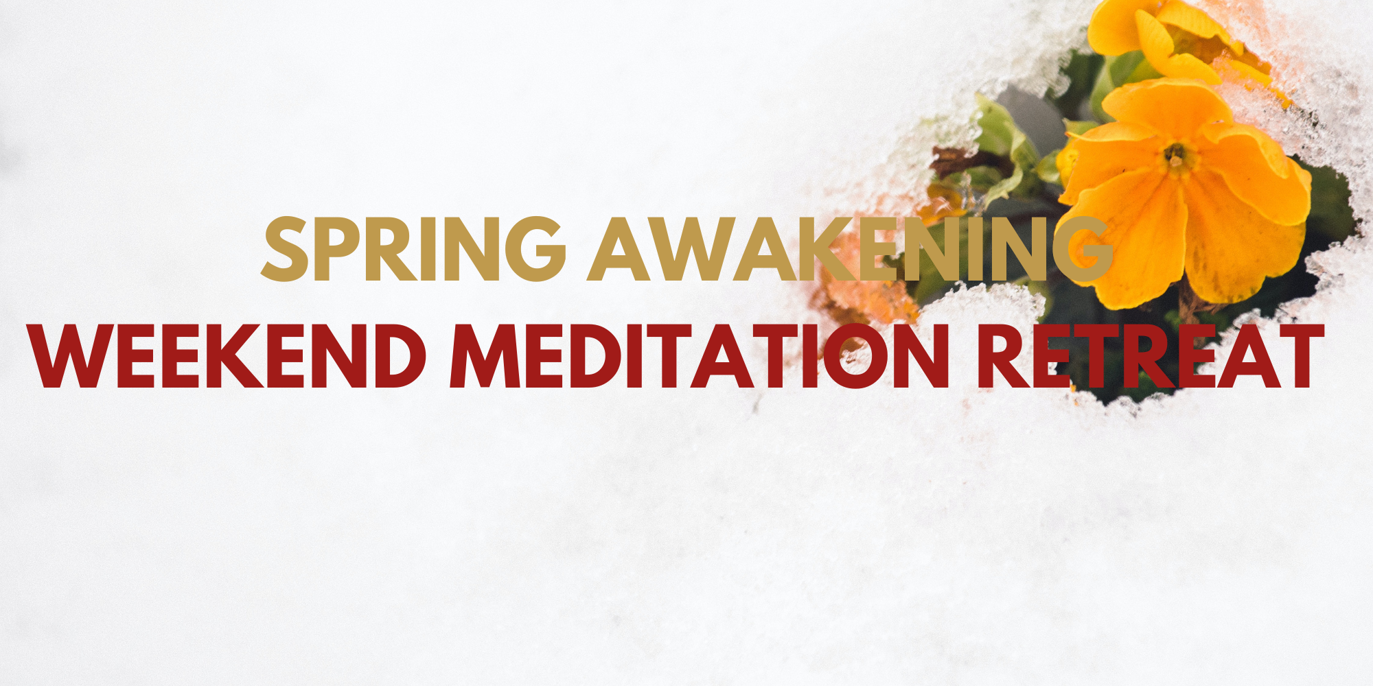 Retreats — One River Zen