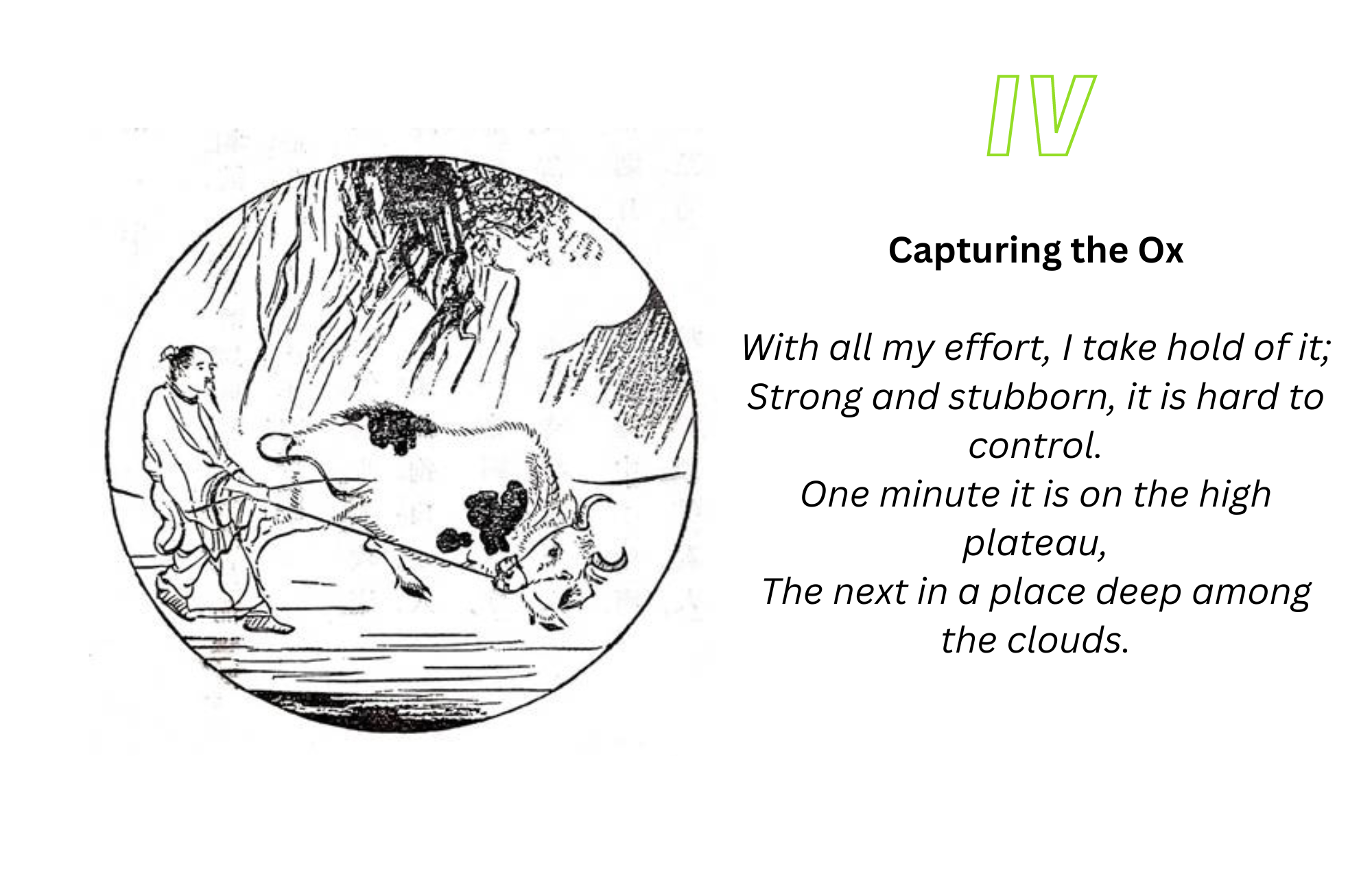 Ten Oxherding Pictures | Discover Zen Insights — Embark on Your Path ...