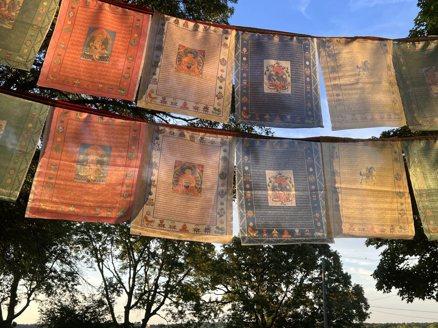 Retreats | Join Our Zen Retreats — One River Zen