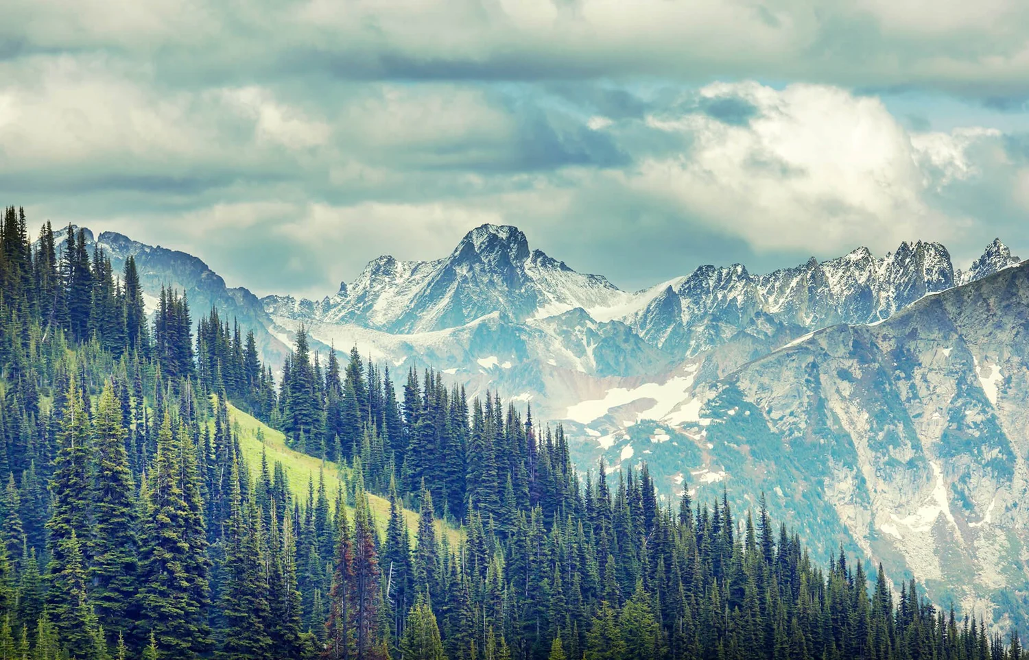 Cascade Ridge Partners