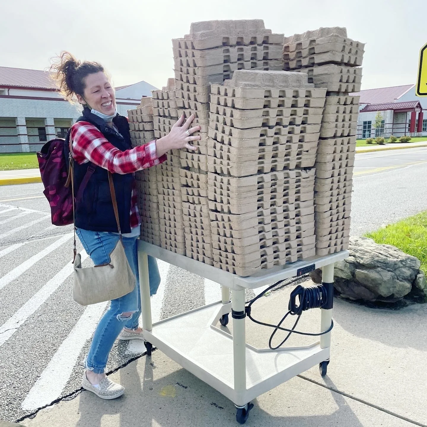 Cardboard Alligators – Art With Mrs. E