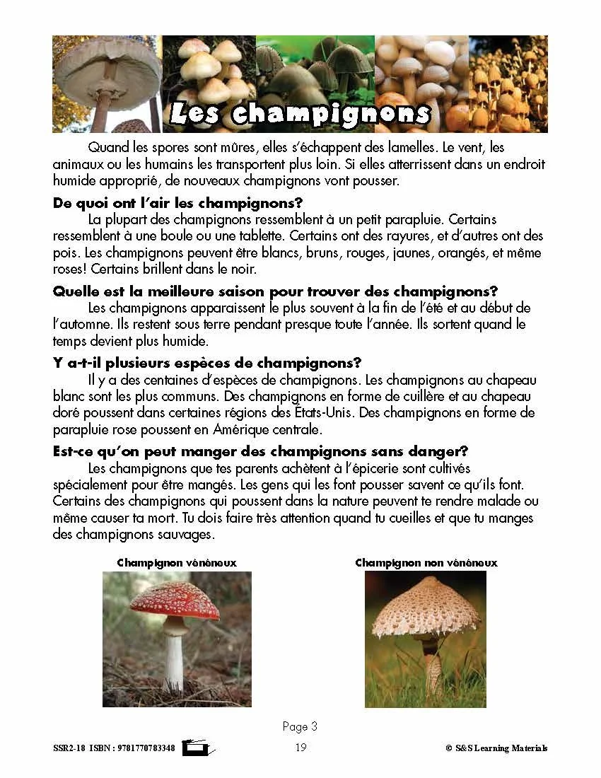C'est un fait! Compréhension de textes informatifs - 4e à 6e année ...
