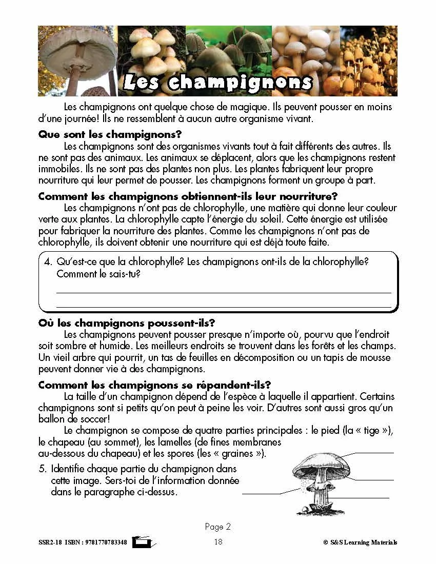 C'est un fait! Compréhension de textes informatifs - 4e à 6e année ...