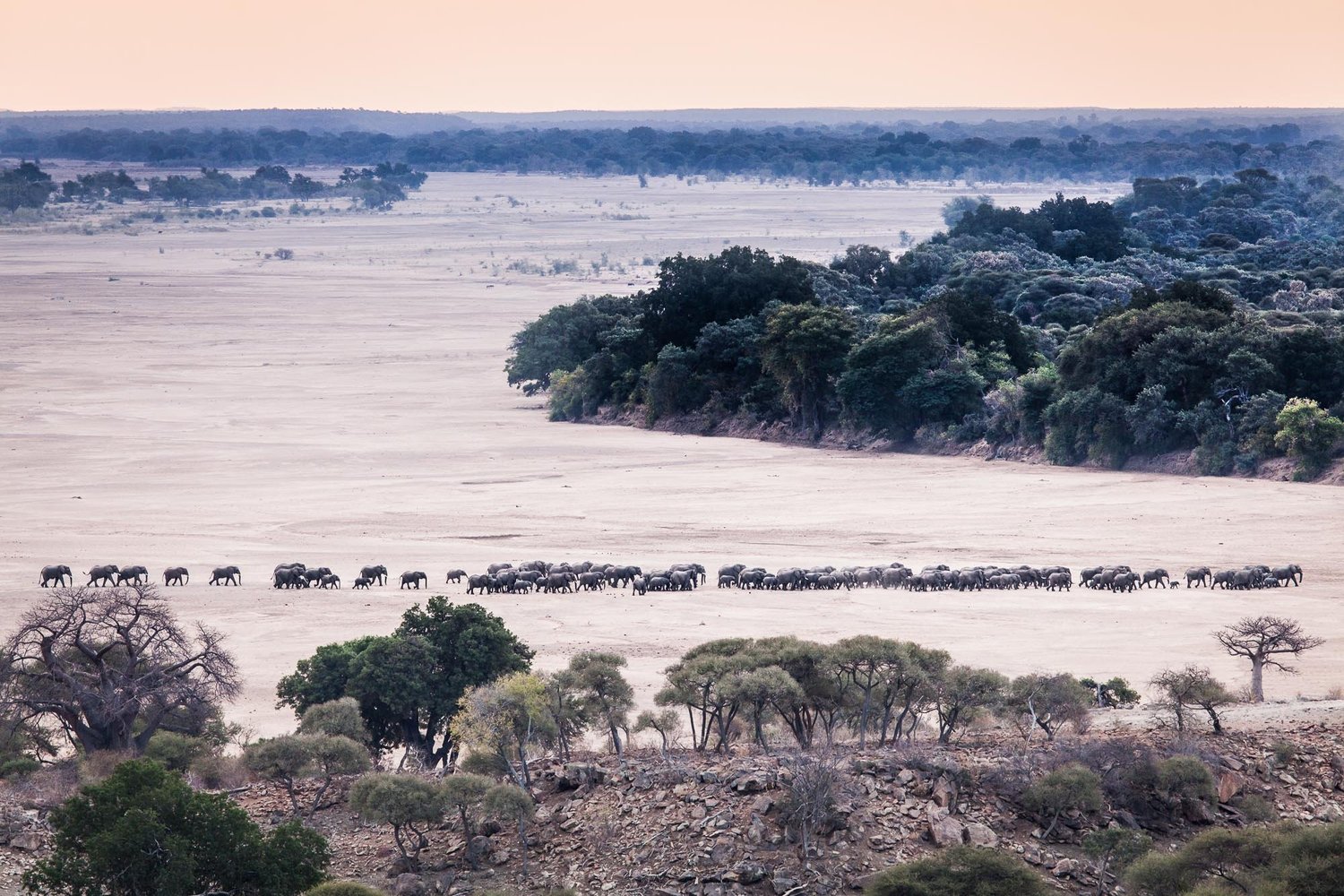 A visionary plan for landscape-scale conservation in the Vhembe and the ...