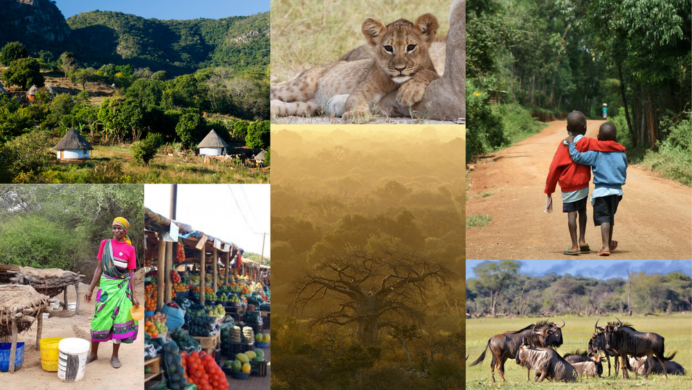 A visionary plan for landscape-scale conservation in the Vhembe and the ...