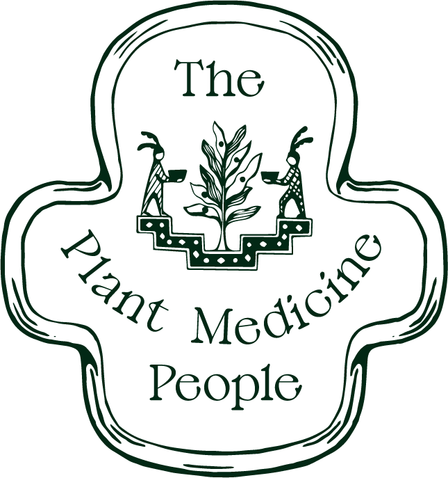 The Magic and Mystery of Noya Rao: The Tree of Light — Plant Medicine ...