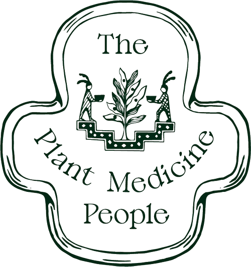 The Magic and Mystery of Noya Rao: The Tree of Light — Plant Medicine ...