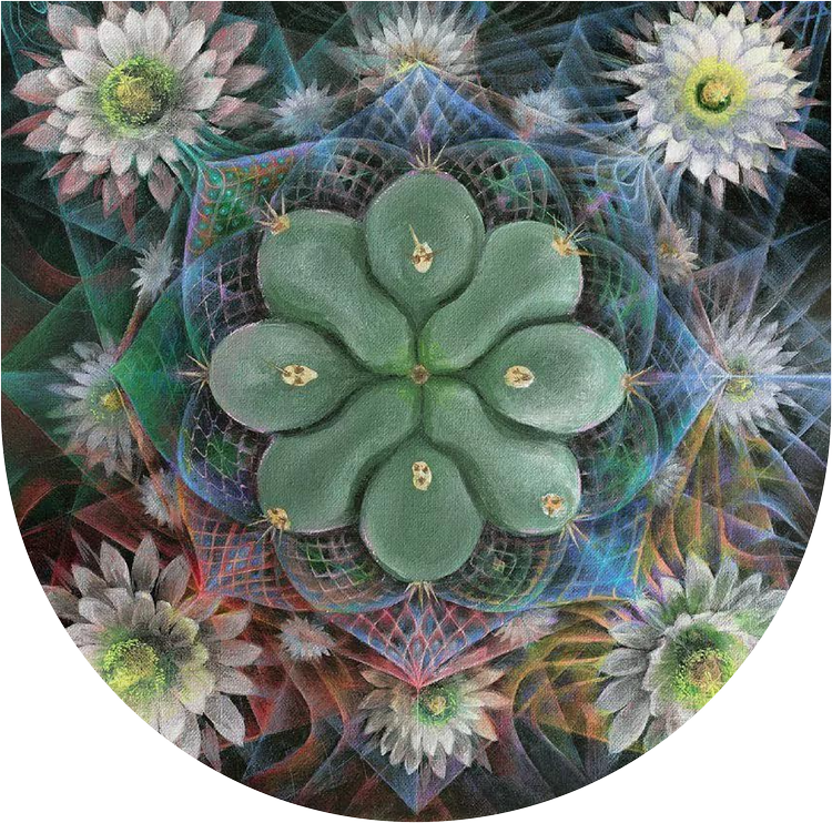 Huachuma: Divine Masculine Medicine and the Pathway Back to Our Hearts ...