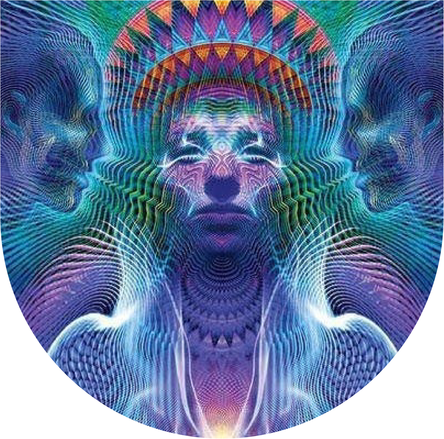 Somatic Psychedelic Integration Tools — Plant Medicine People