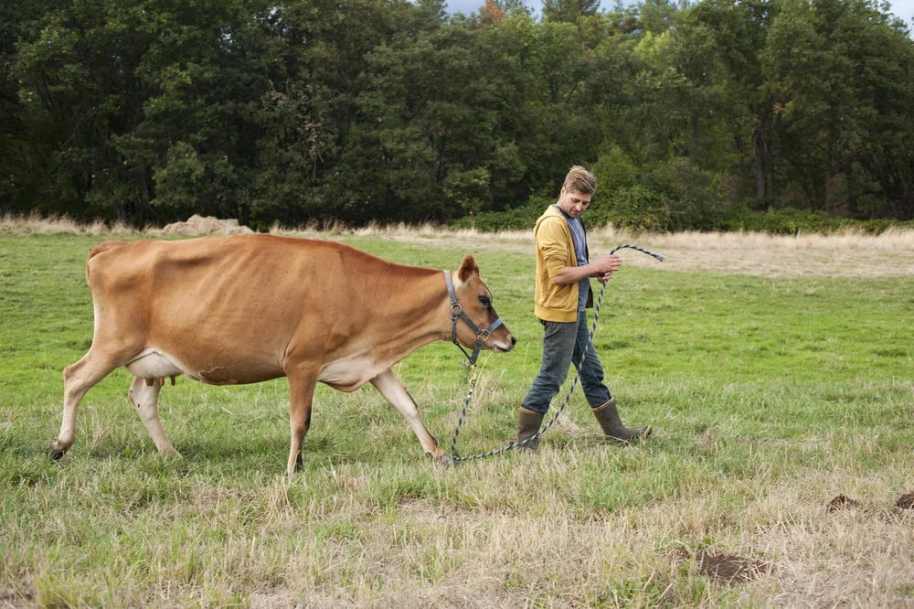 Vendor Profile: By George Farm — Medford Food Co-op