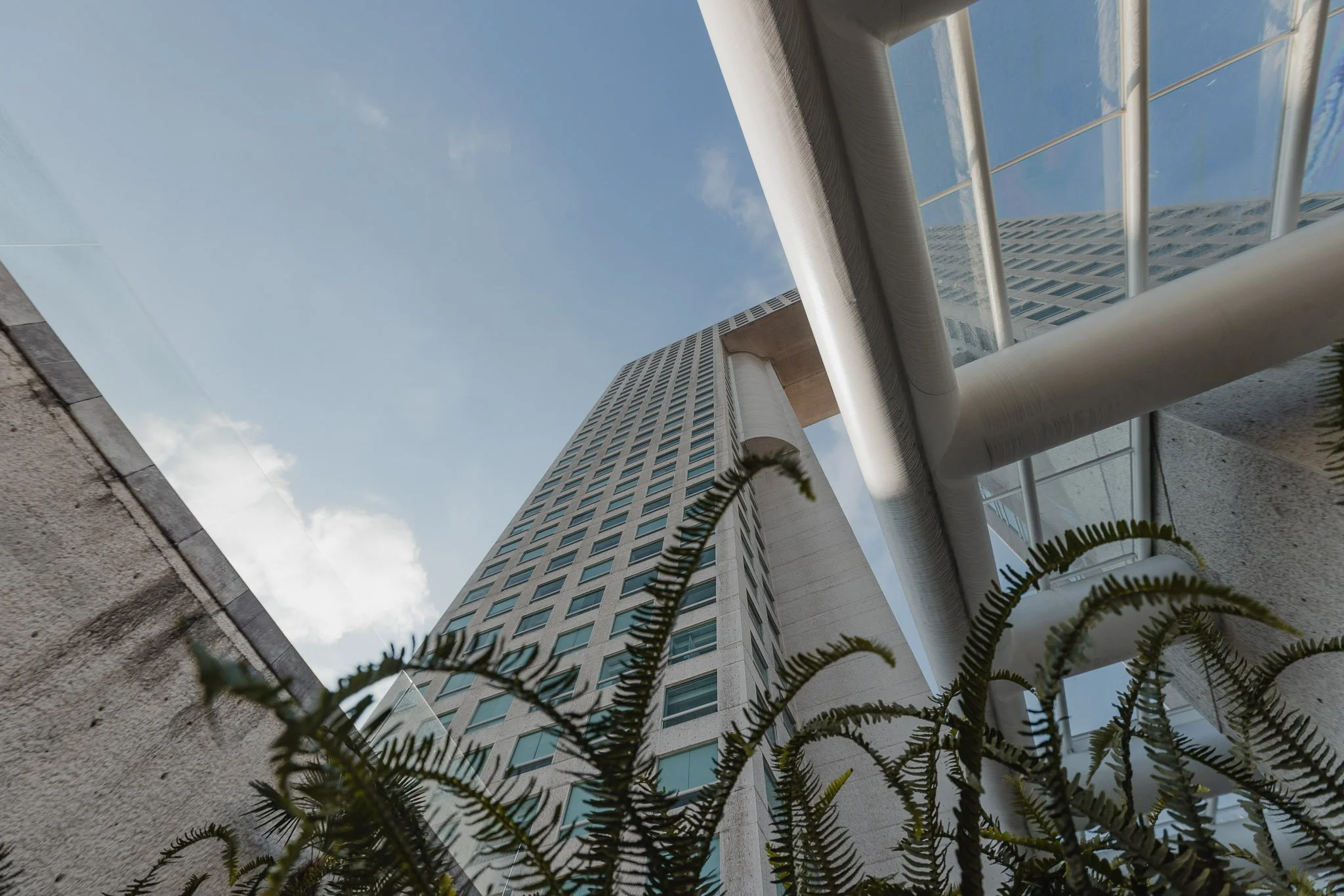 Renta De Oficinas En Cdmx Torre Arcos Bosques