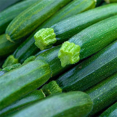 Fresh Fruits and Vegetables — Thistledown Farm Oregon