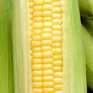 Fresh Fruits and Vegetables — Thistledown Farm Oregon