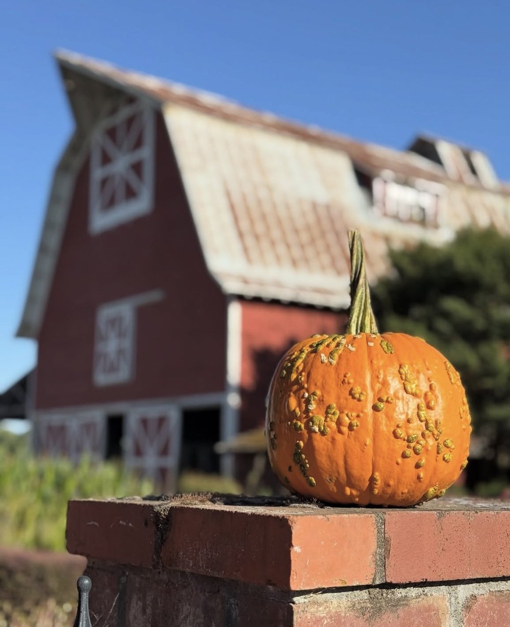 Thistledown Farm Oregon