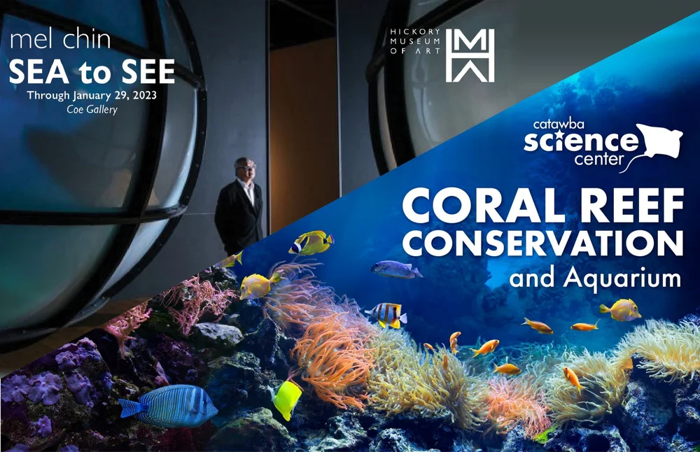 329 Miles: Corals & Conservation with Science & Art — Hickory Museum of Art