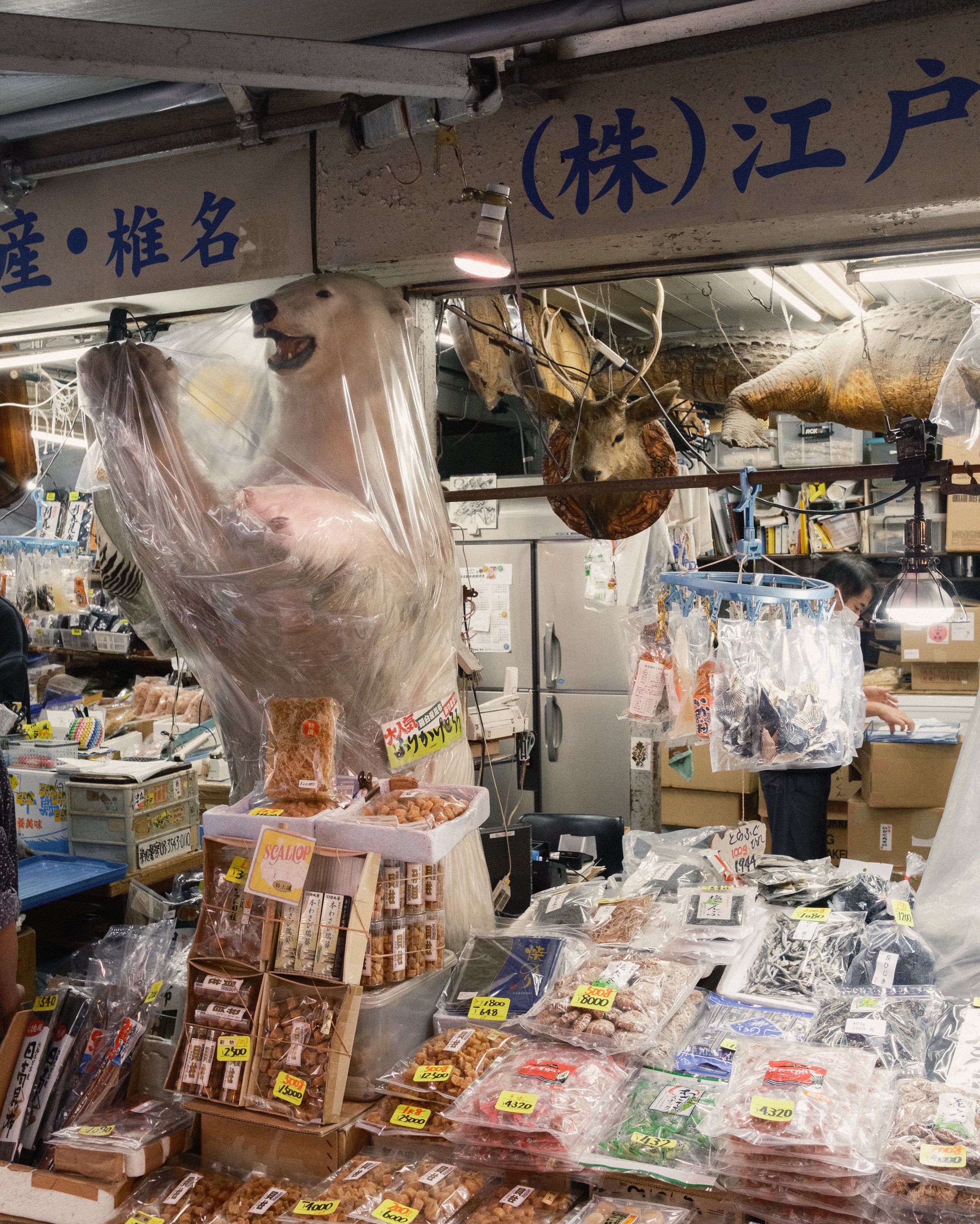 Brian Lackey - Photographing the Pacific Northwest