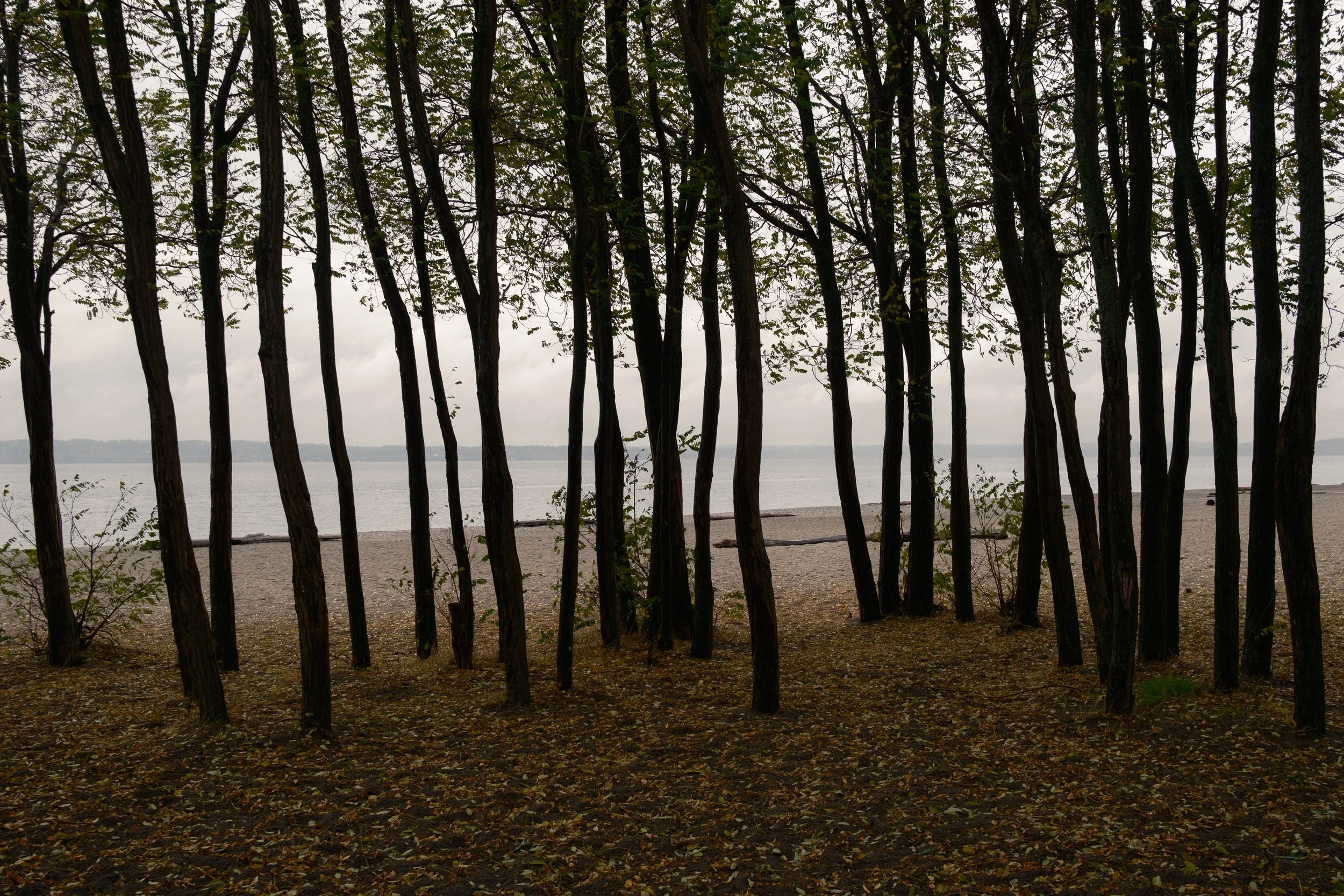 Brian Lackey - Photographing the Pacific Northwest