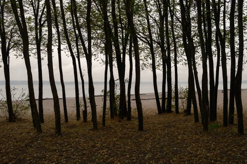 Brian Lackey - Photographing the Pacific Northwest