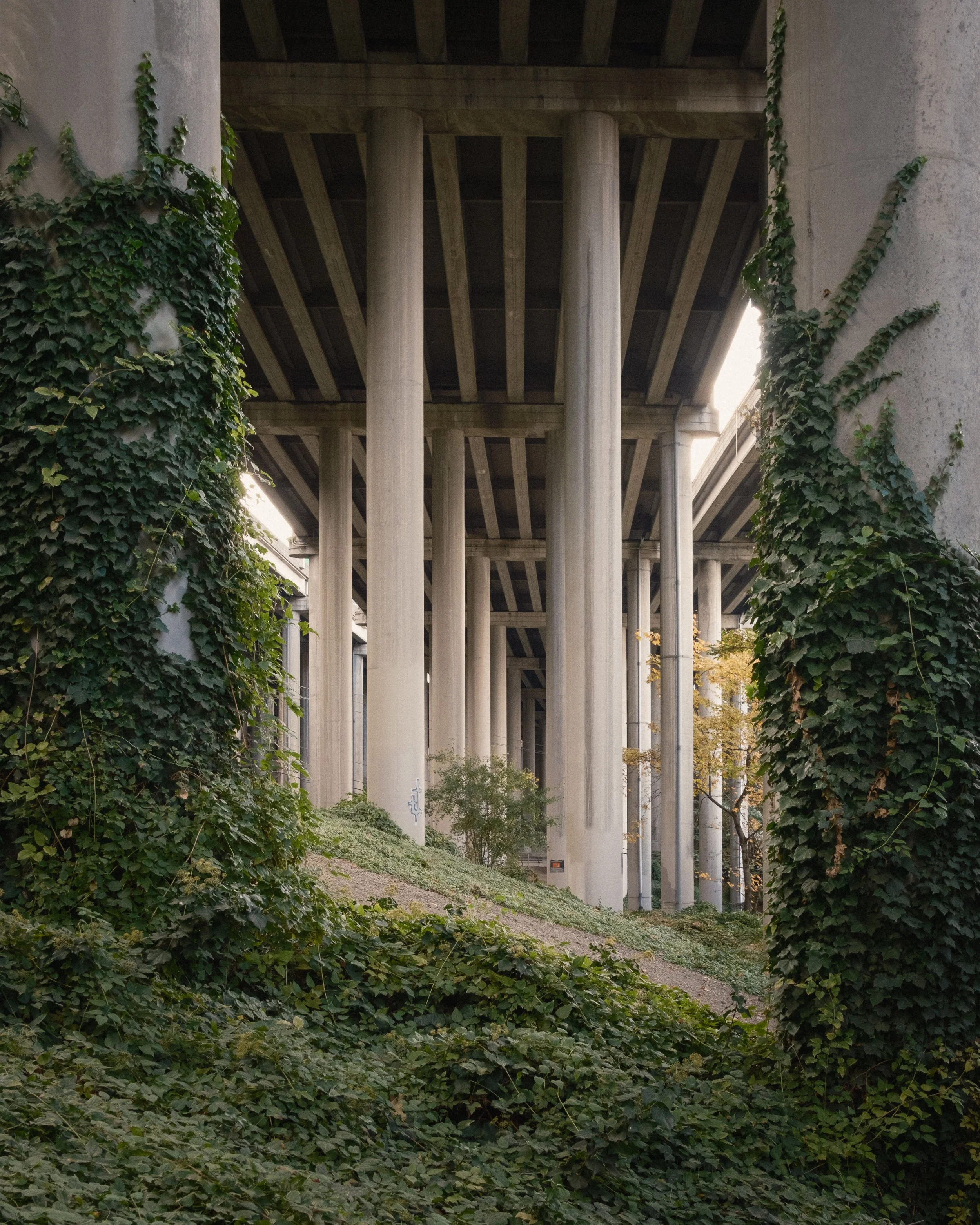 Brian Lackey - Photographing the Pacific Northwest