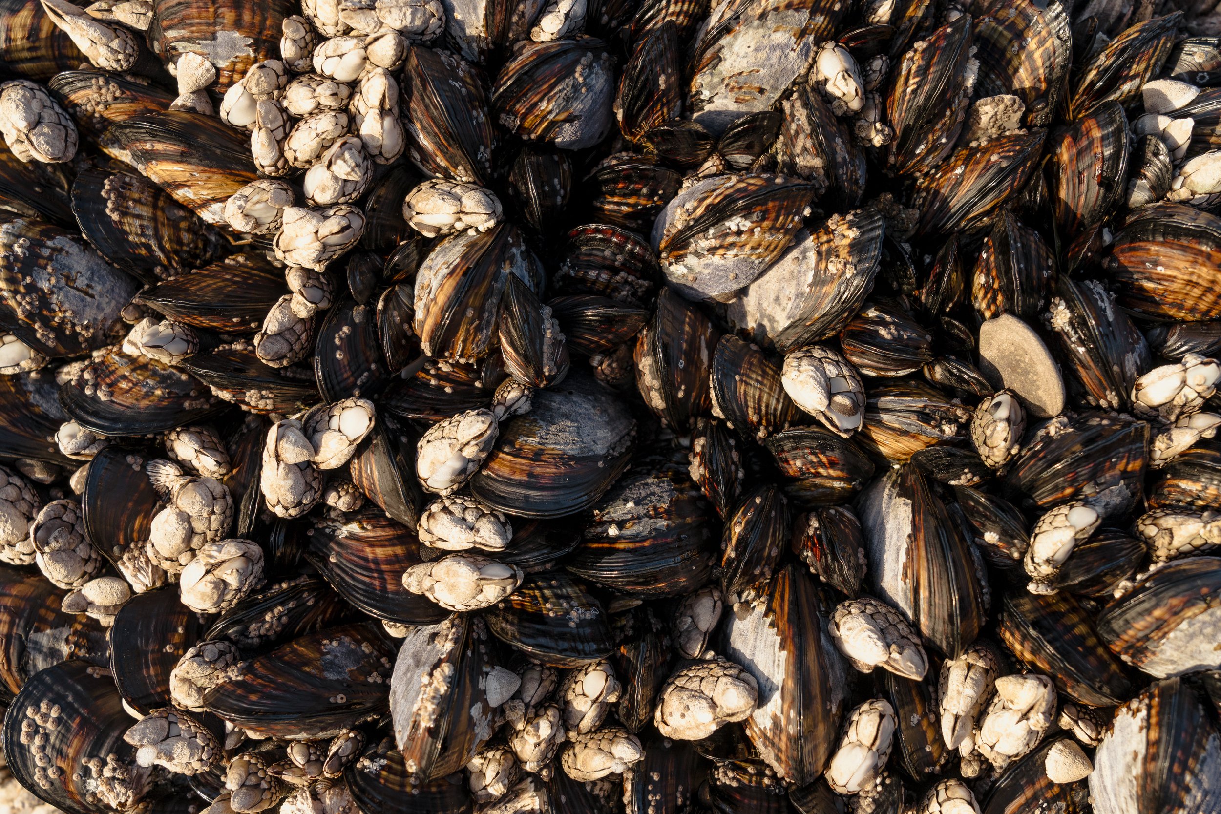 Brian Lackey - Photographing the Pacific Northwest