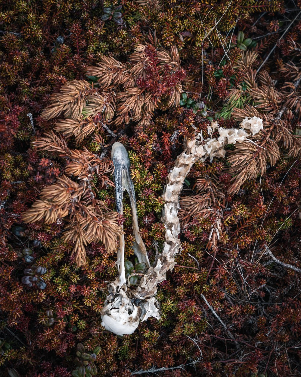 Brian Lackey - Photographing the Pacific Northwest