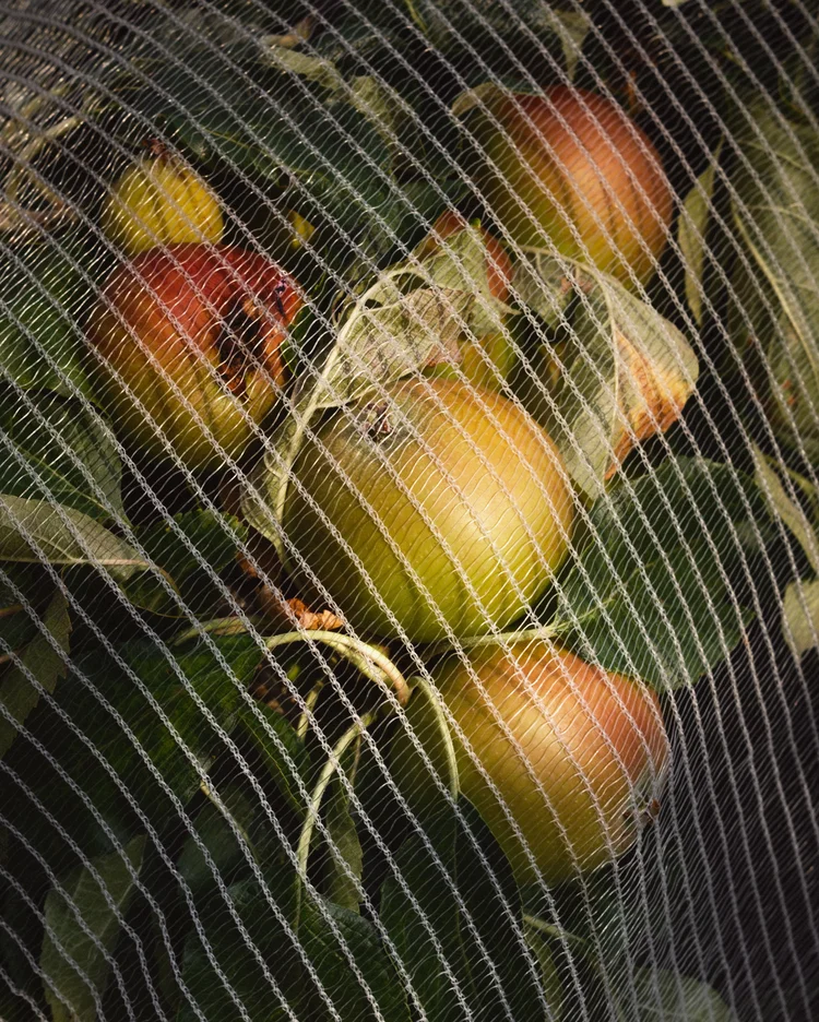 Brian Lackey - Photographing the Pacific Northwest