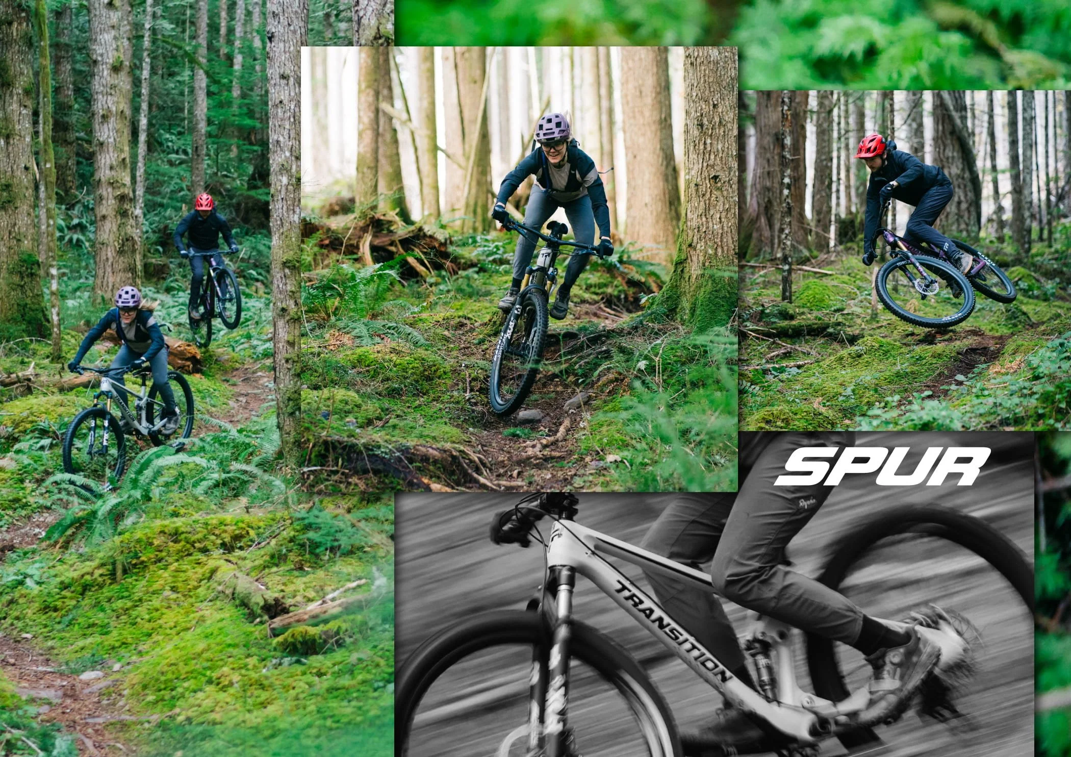 Transition Bikes — THE LINE | Bike Experience