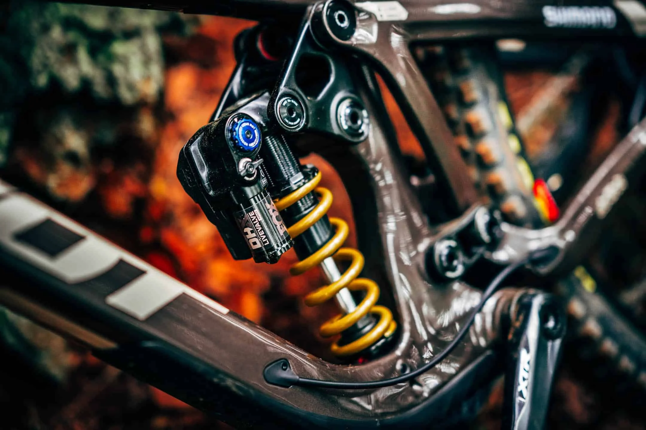 Pivot-Cycles — THE LINE | Bike Experience