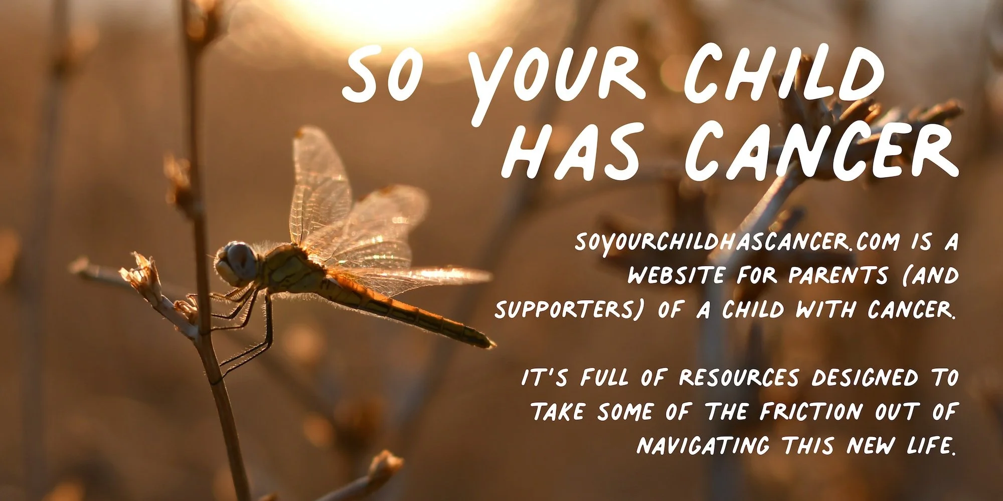 Children With Cancer Quotes