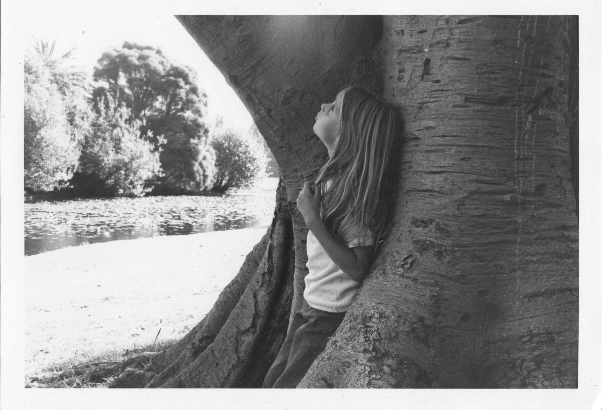 Articles/News — Trace Balla