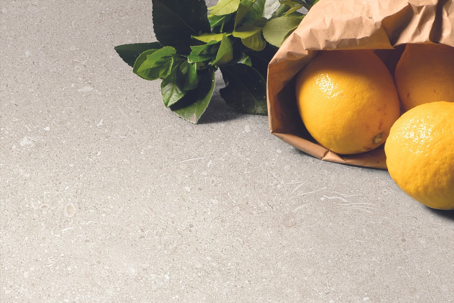 Countertops — SA Stone Studio - Porcelain Surface Material