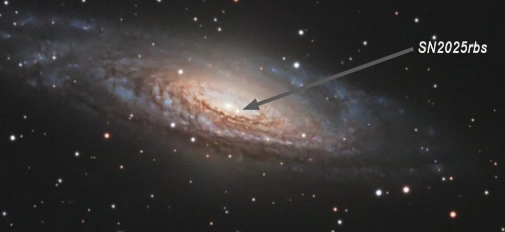 NGC 7331 and the Deer Lick Group with Supernova SN2025rbs (4.7 hours in ...