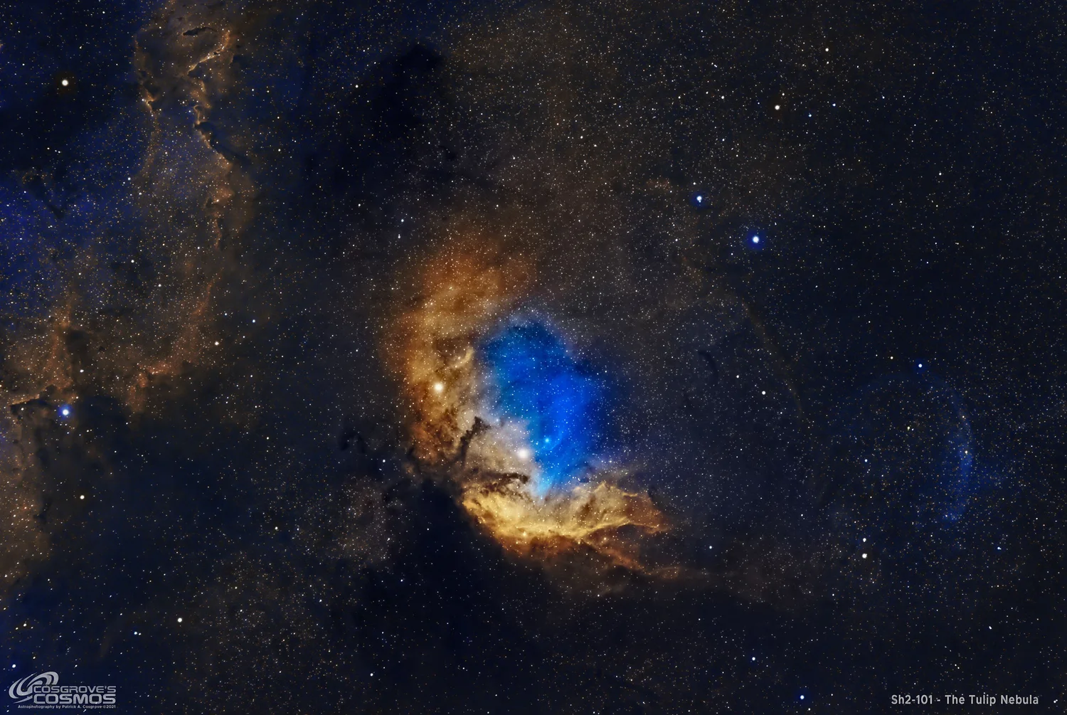 SH2-101 - The Tulip Nebula - 12.8 Hours in SHO — Cosgrove's Cosmos