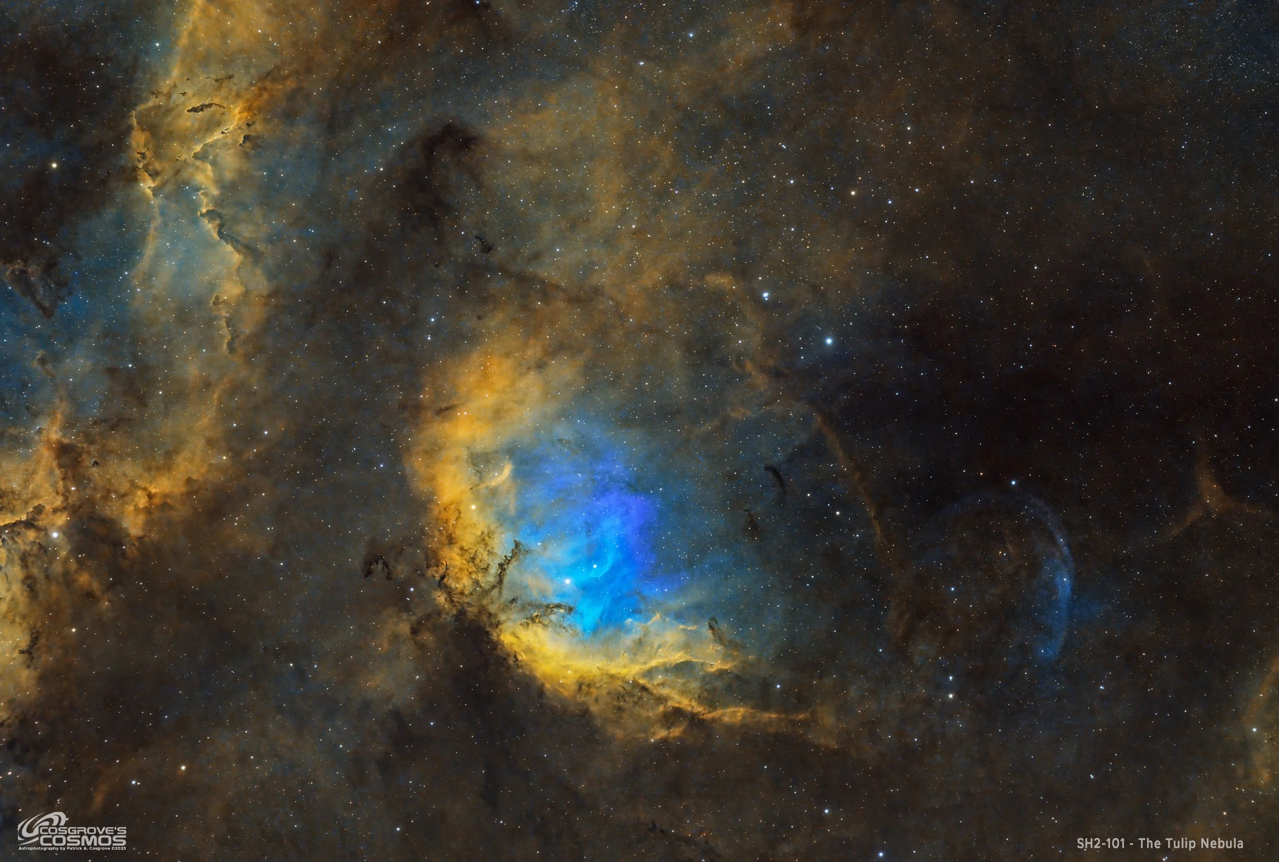 SH2-101 - The Tulip Nebula - 12.8 Hours in SHO — Cosgrove's Cosmos
