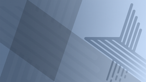 Investments — True Star Capital