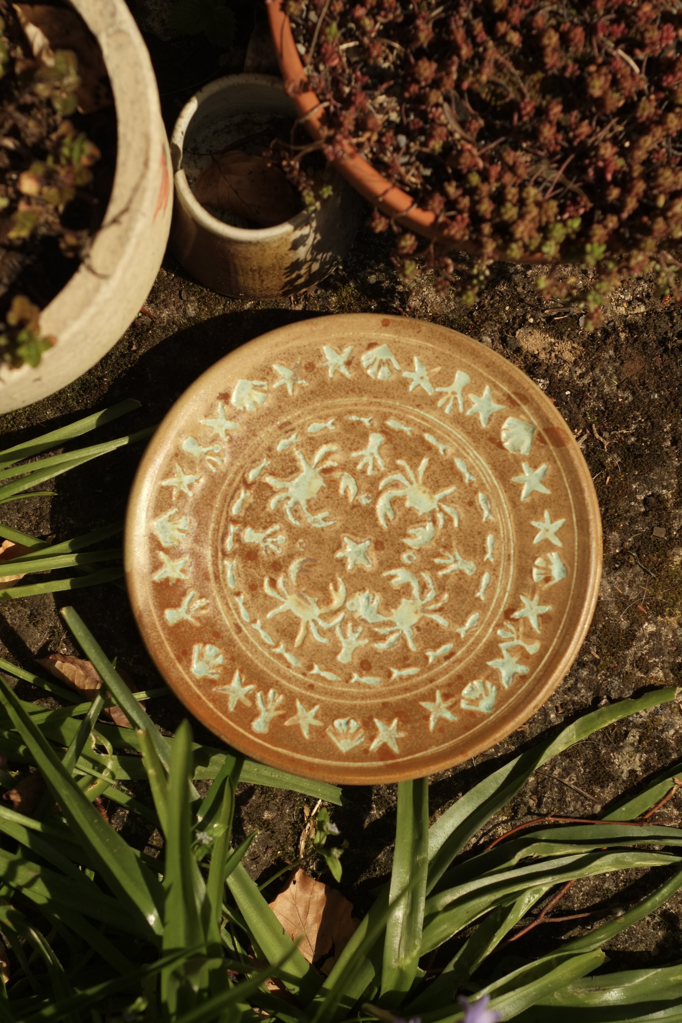 Shop — Leela Pottery