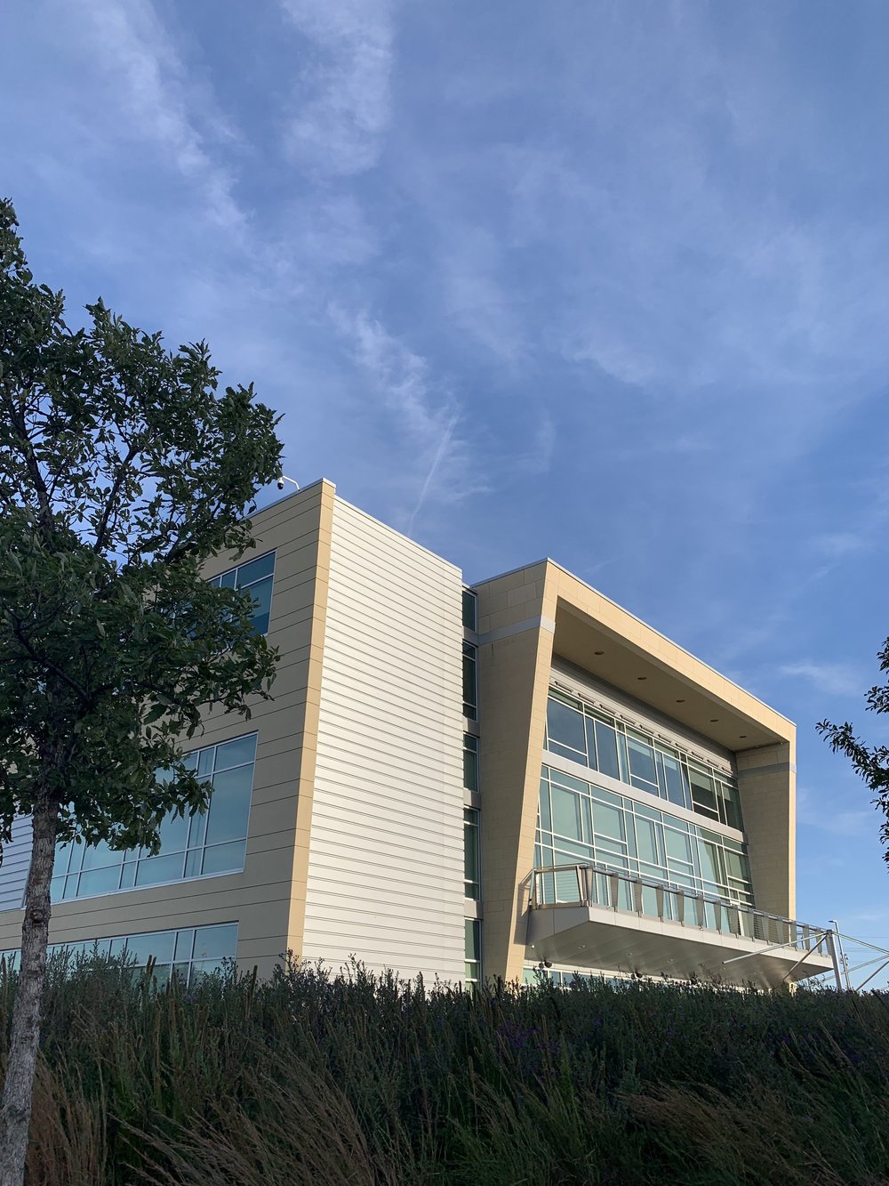 Architecture — DAU ARCHITECTS