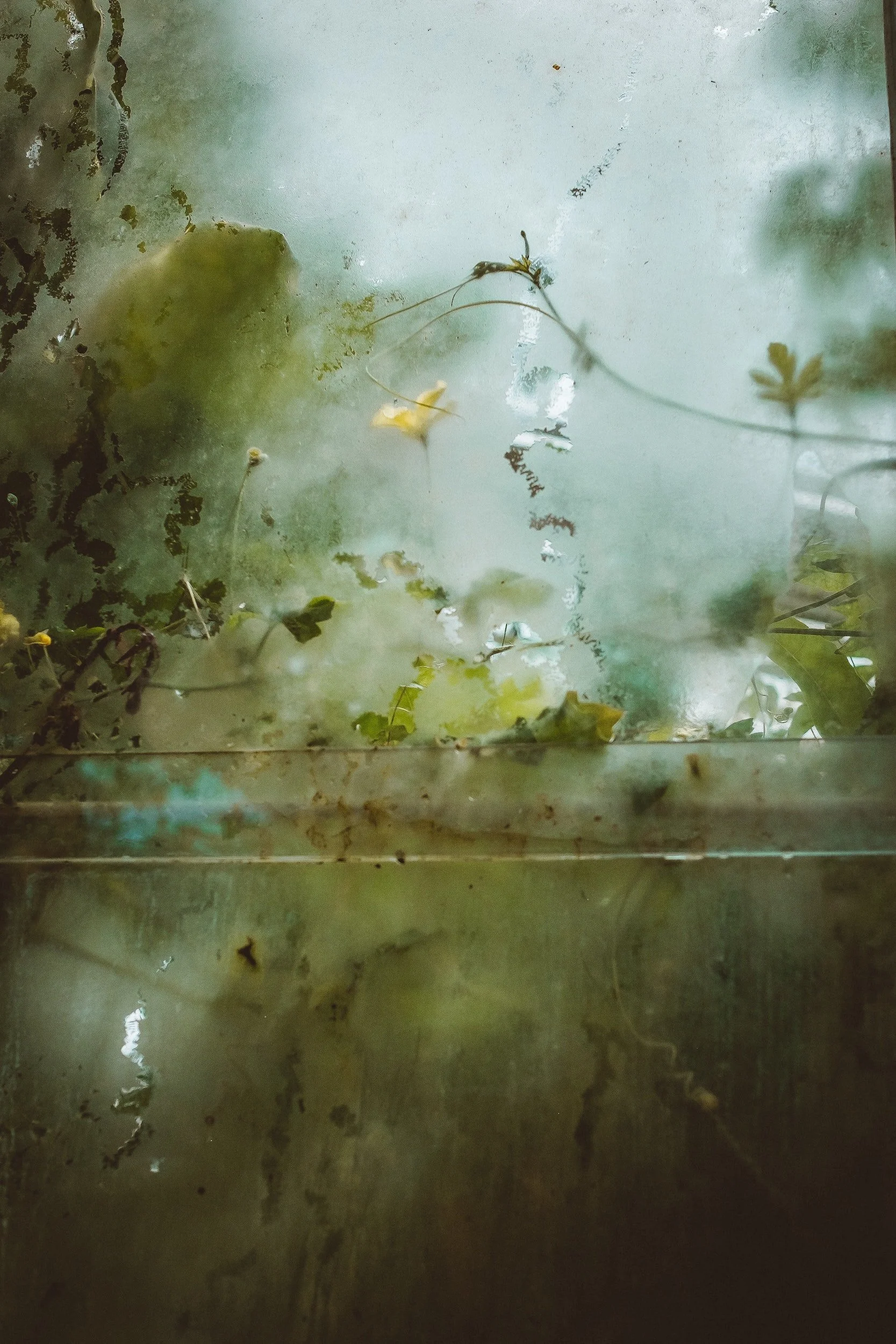 The Beautiful Mind Hypnotherapy - Andrea Loughran